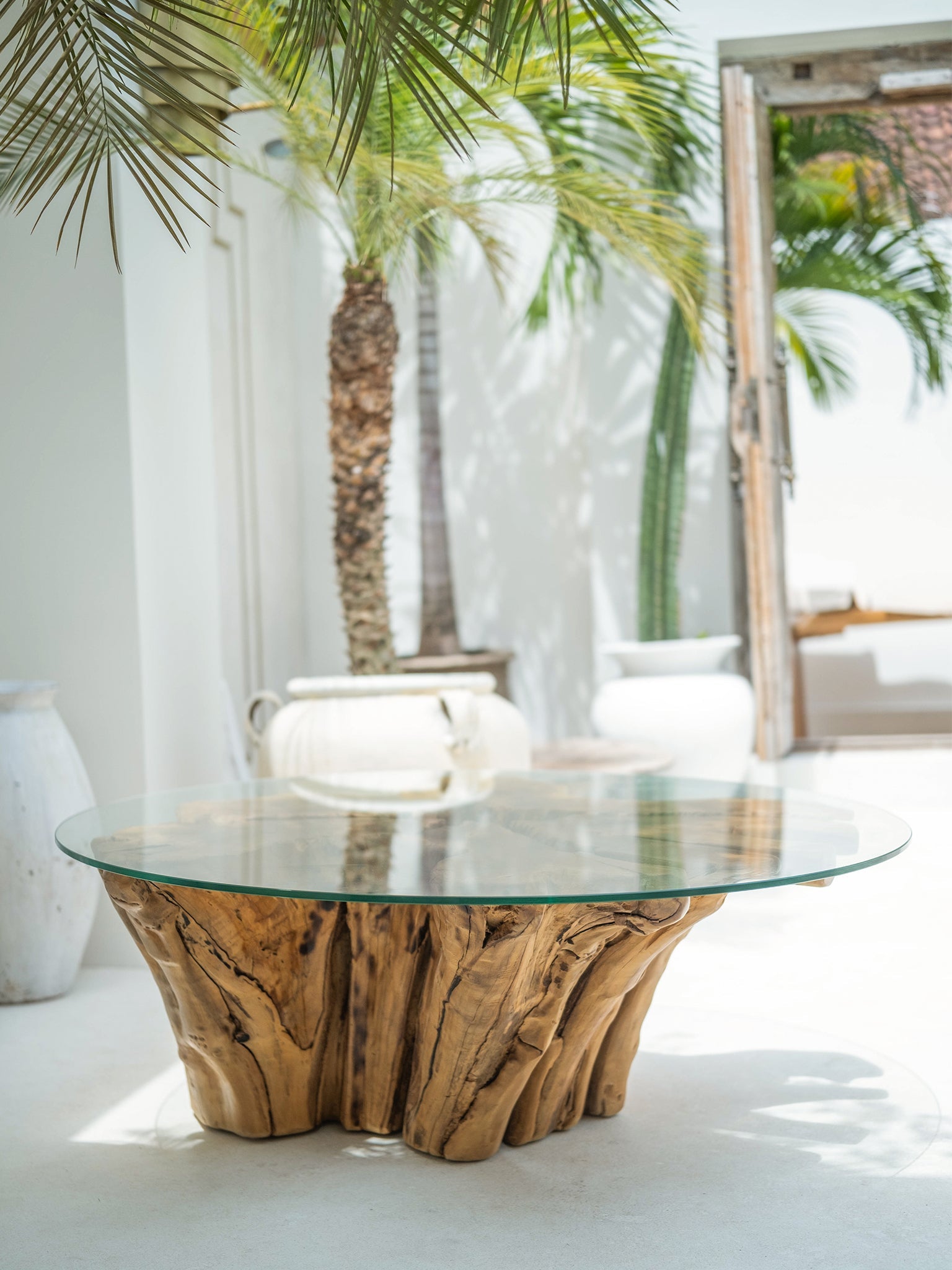 Buy Now Asri Tree Root Coffee Table Handmade in Bali